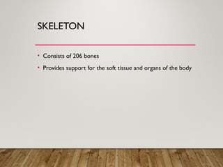 SKELETAL SYSTEM WITH ROM power point slide | PPT