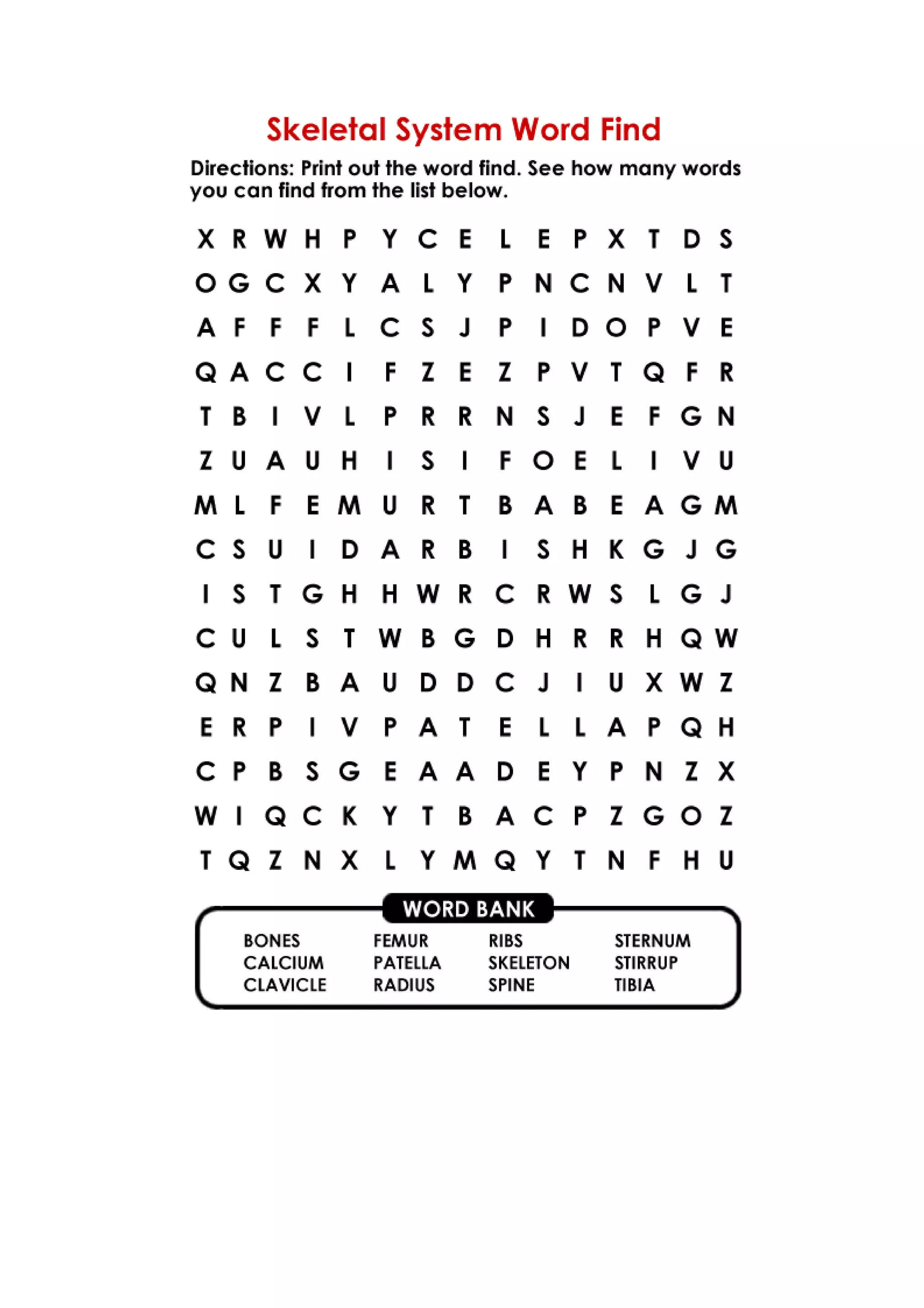 Skeletal system word find | DOC | Bone and Joint Conditions | Diseases ...