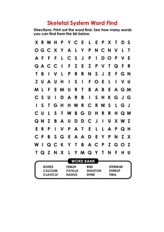 Skeletal system word find | DOC | Bone and Joint Conditions | Diseases ...