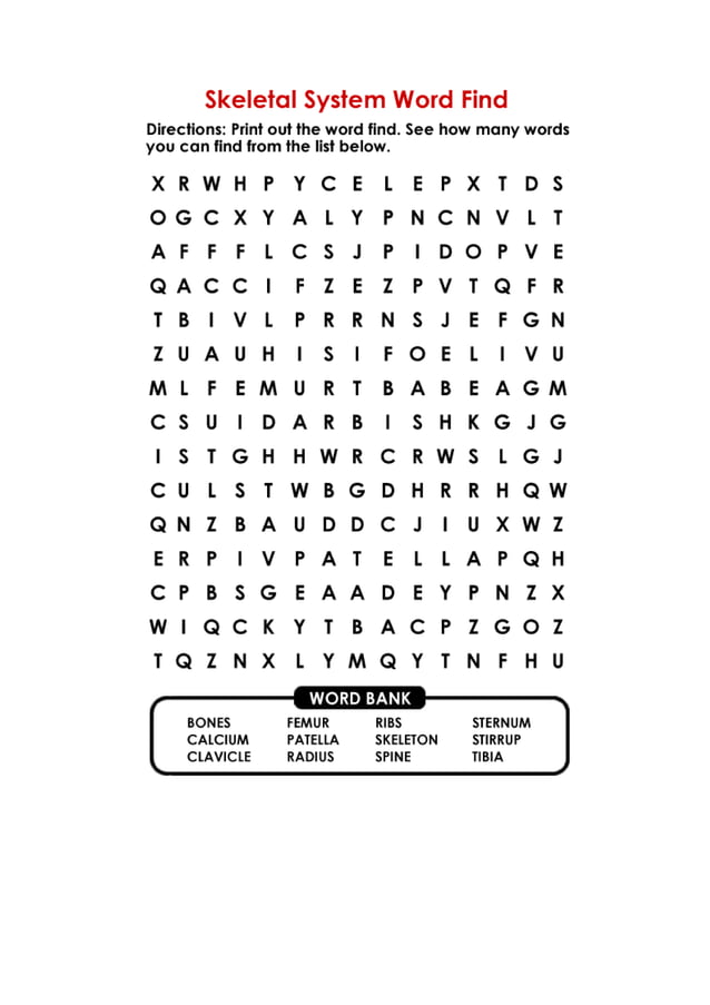 Skeletal system word find | DOC