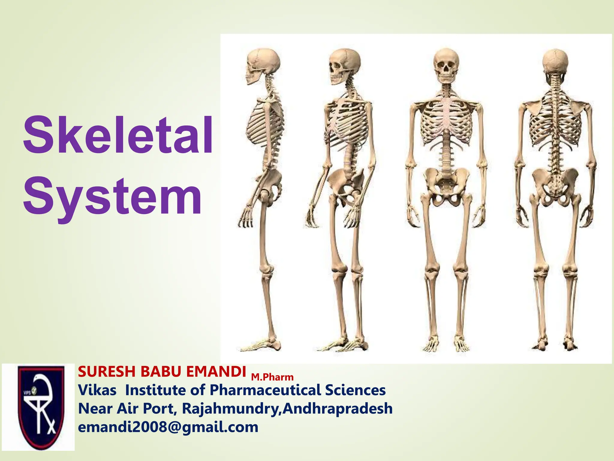SKELETAL SYSYTEM | PPTX