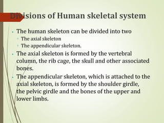 SKELETAL SYSYTEM | PPTX