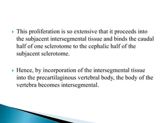 Skeletal sysytem ppt | PPTX