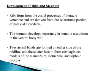 Skeletal sysytem ppt | PPTX
