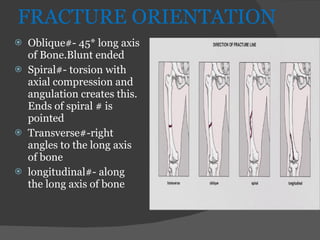 Skeletal Trauma And Healing Its Radiological Aspects | PPT