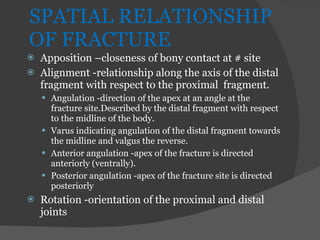 Skeletal Trauma And Healing Its Radiological Aspects | PPT