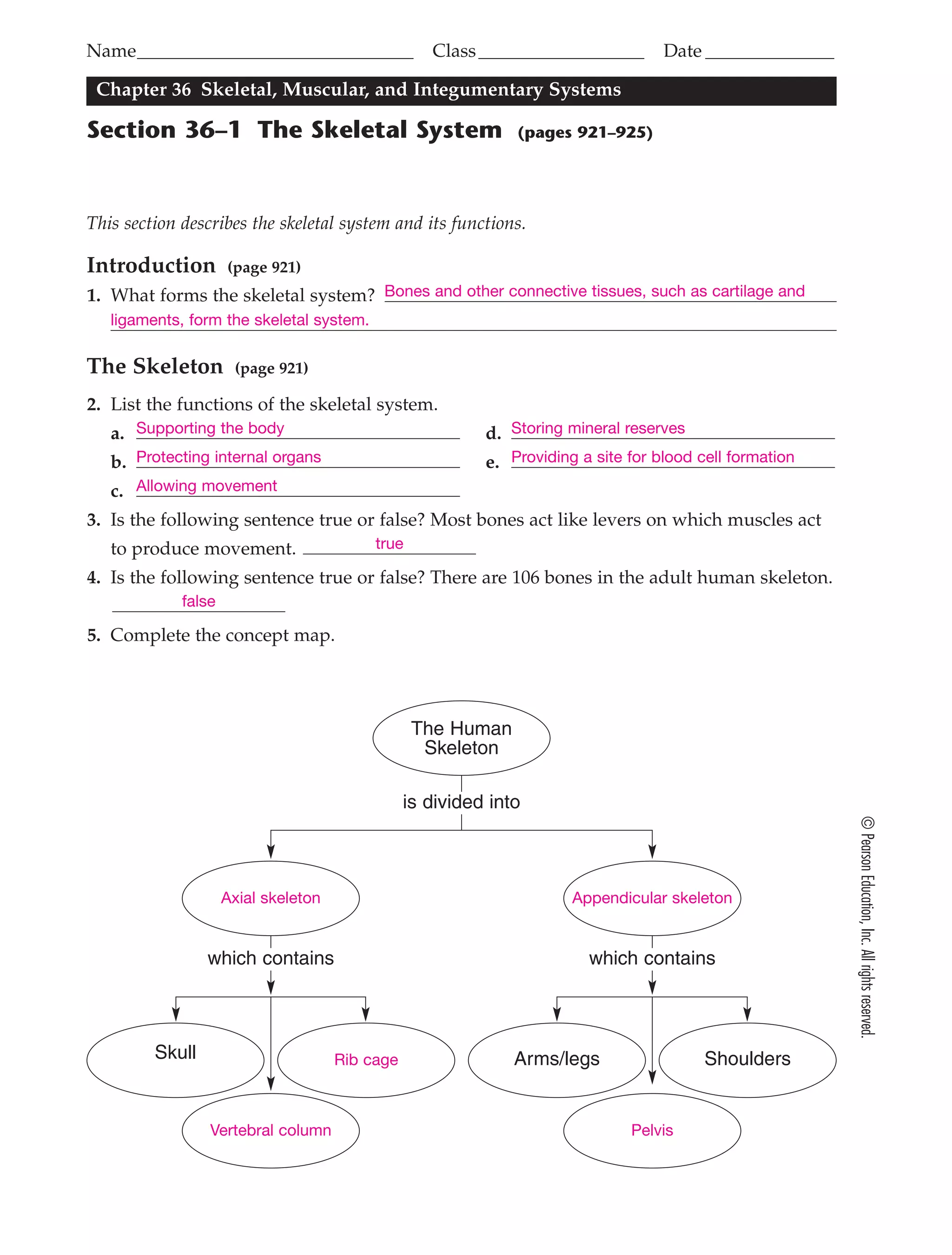 Skeletal WS AK | PDF