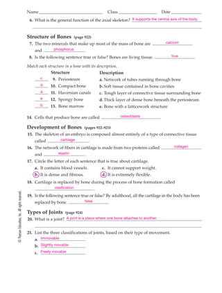 Skeletal WS AK | PDF