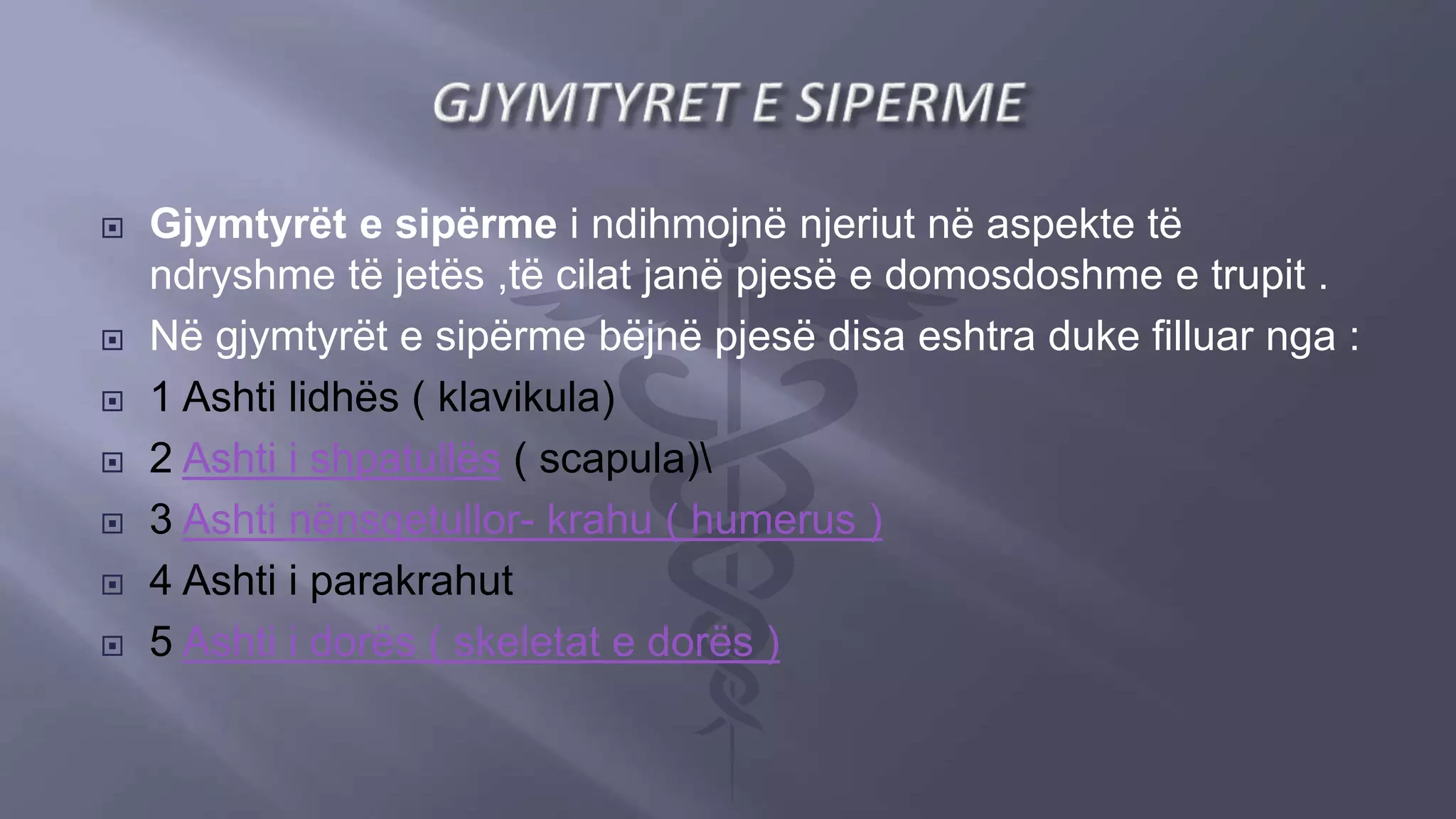 Skeleti i njeriut | PPTX