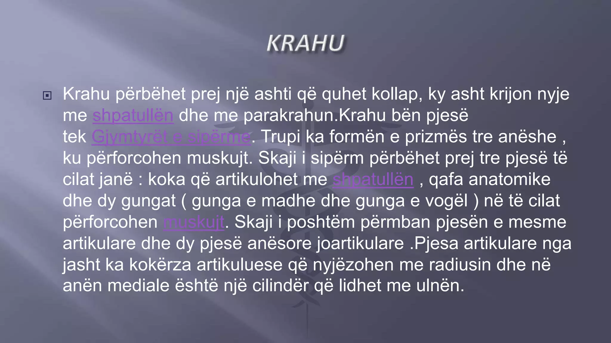 Skeleti i njeriut | PPTX