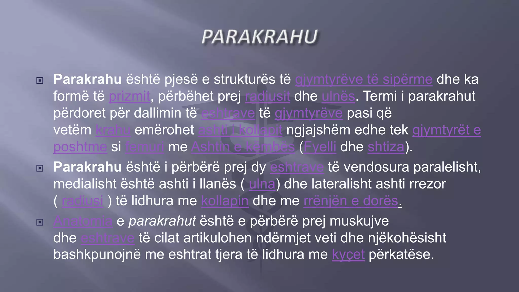 Skeleti i njeriut | PPTX