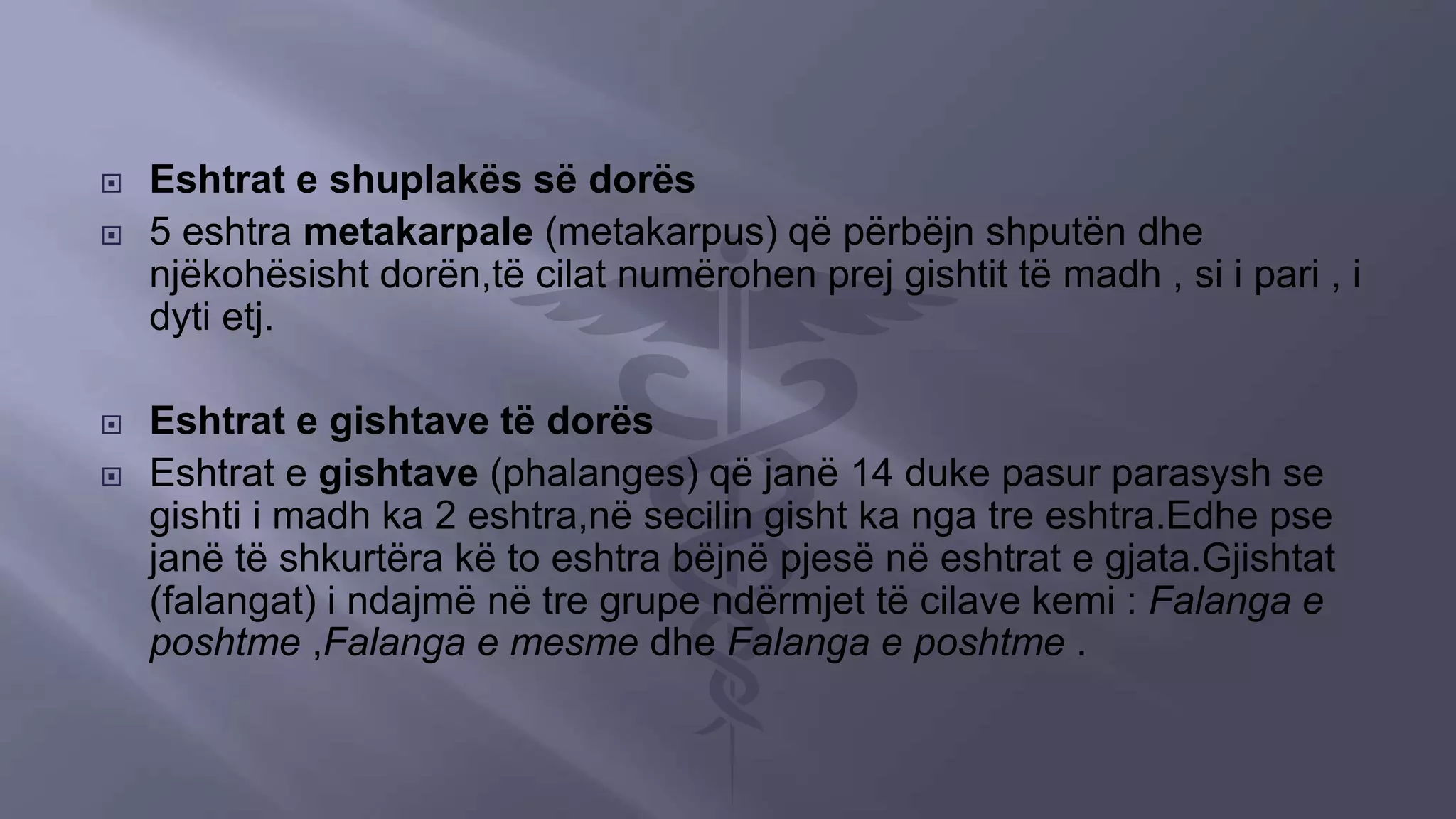 Skeleti i njeriut | PPTX