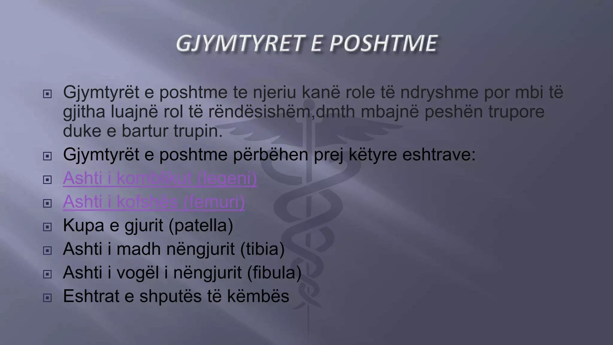 Skeleti i njeriut | PPTX