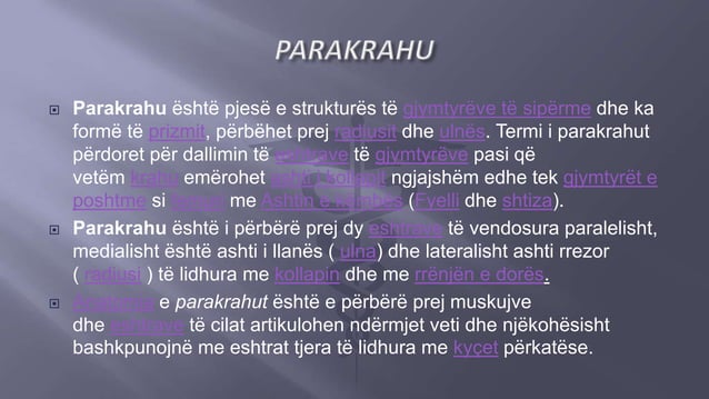 Skeleti i njeriut | PPTX