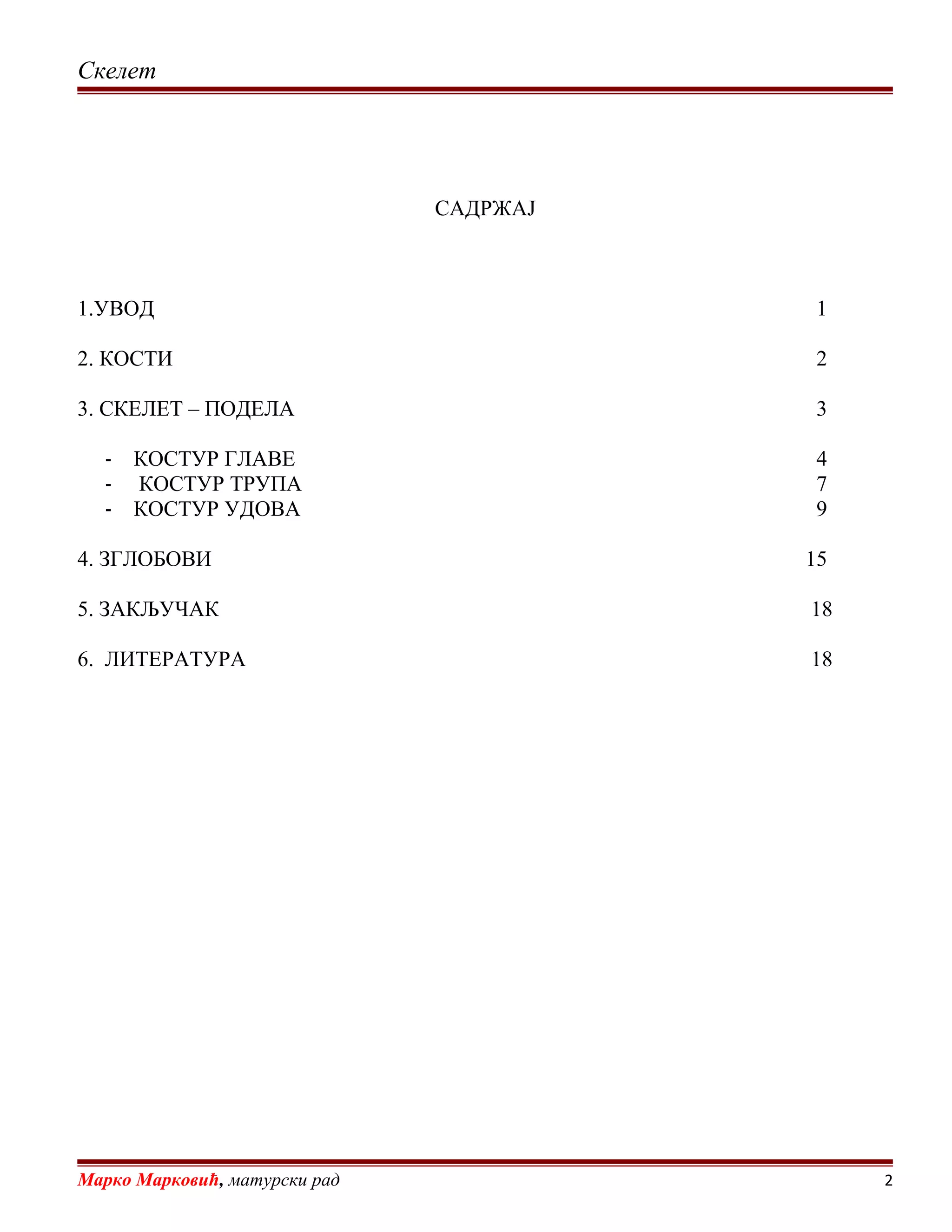 Skelet, maturski rad | DOC