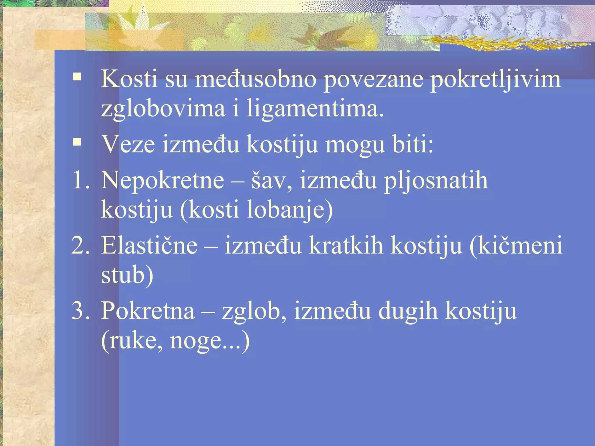 Skeletni sistem, vii | PPT