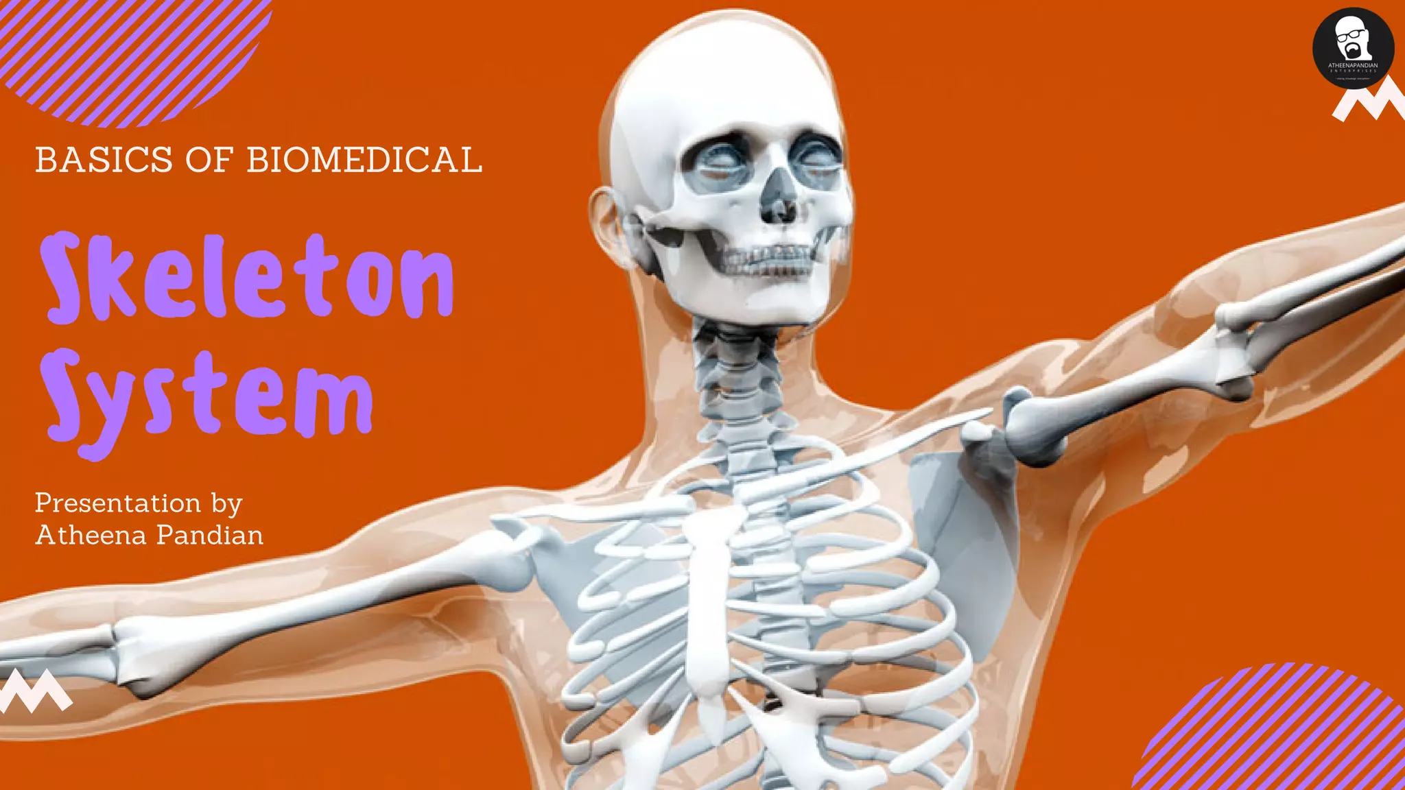 Skeletol system basics | PPT