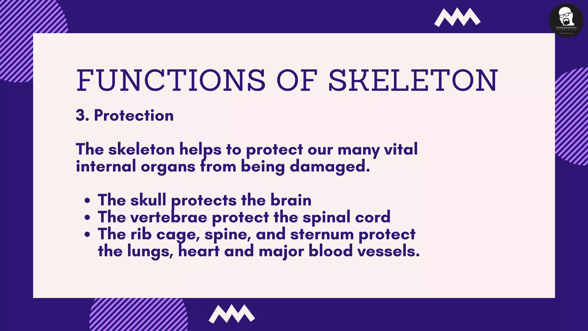 Skeletol system basics | PPT