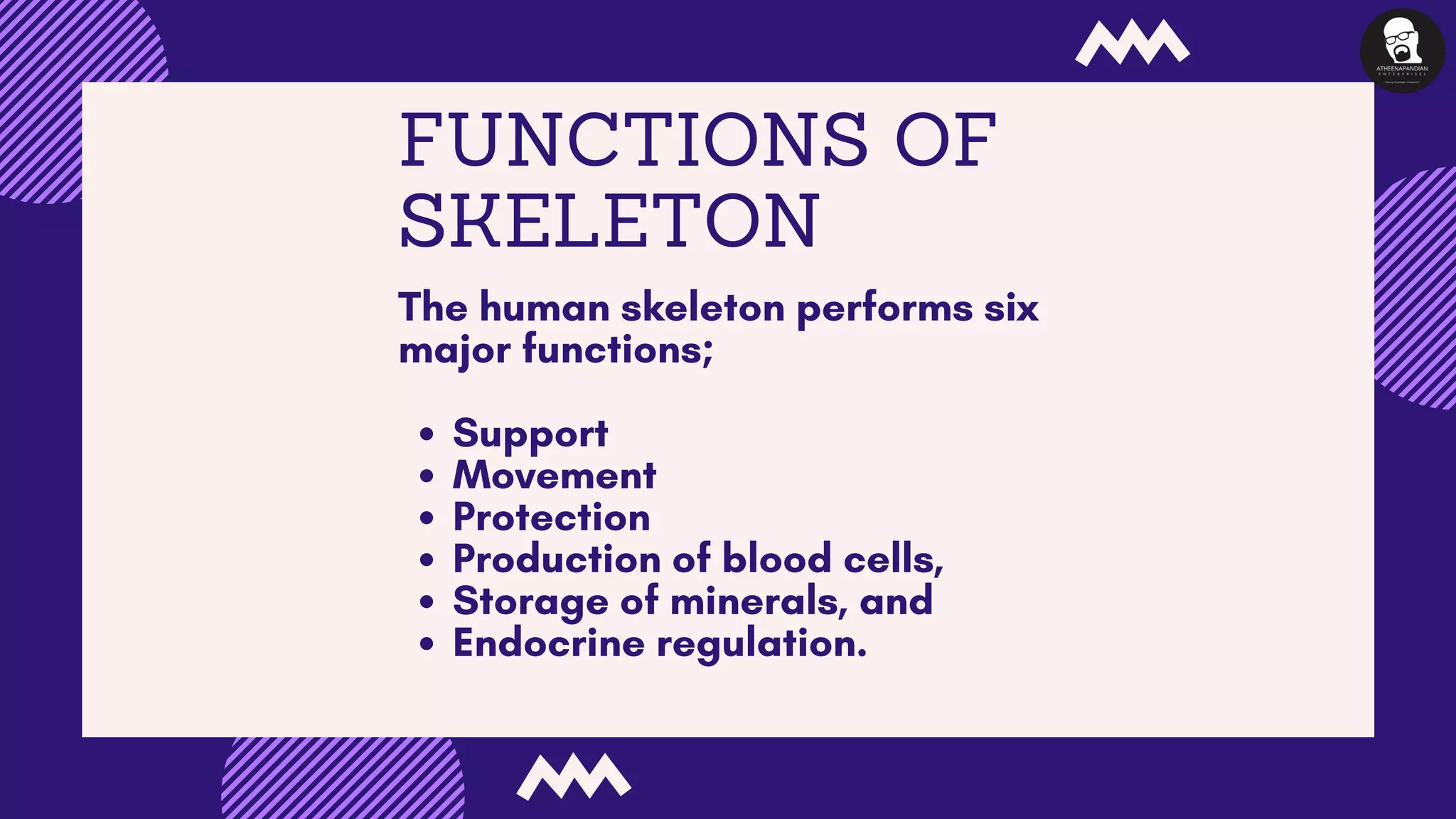 Skeletol system basics | PPT