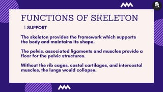 Skeletol system basics | PPT