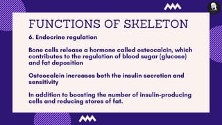 Skeletol system basics | PDF