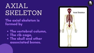 Skeletol system basics | PDF
