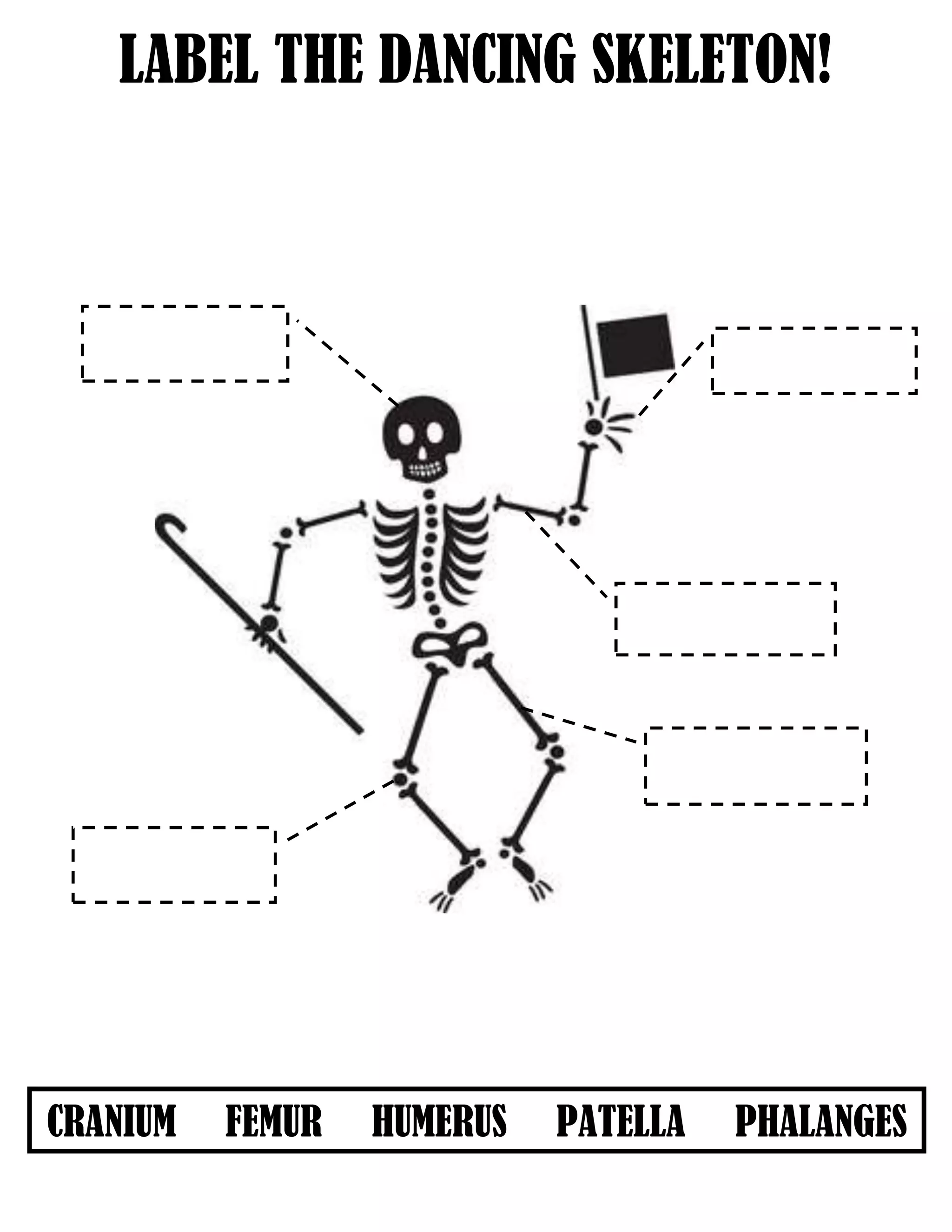 Label the Skeleton | DOCX