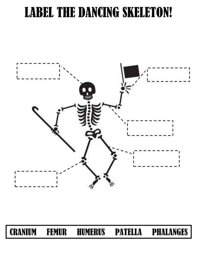 Label the Skeleton | DOCX