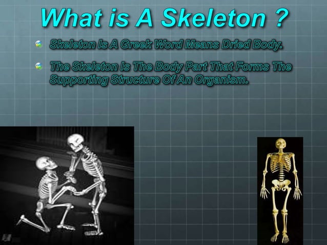 Skeleton system | PPTX