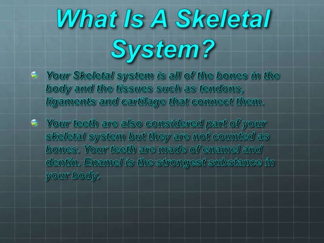 Skeleton system | PPTX