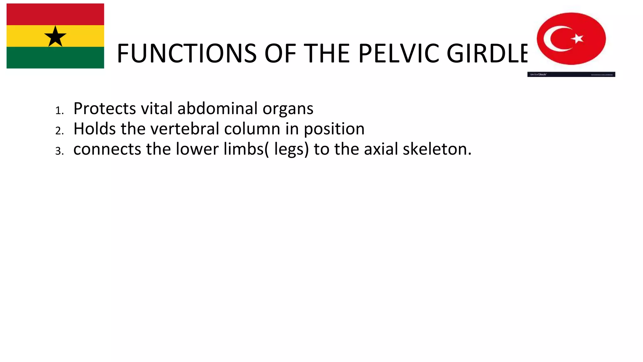 Mammalian Skeleton | PPTX