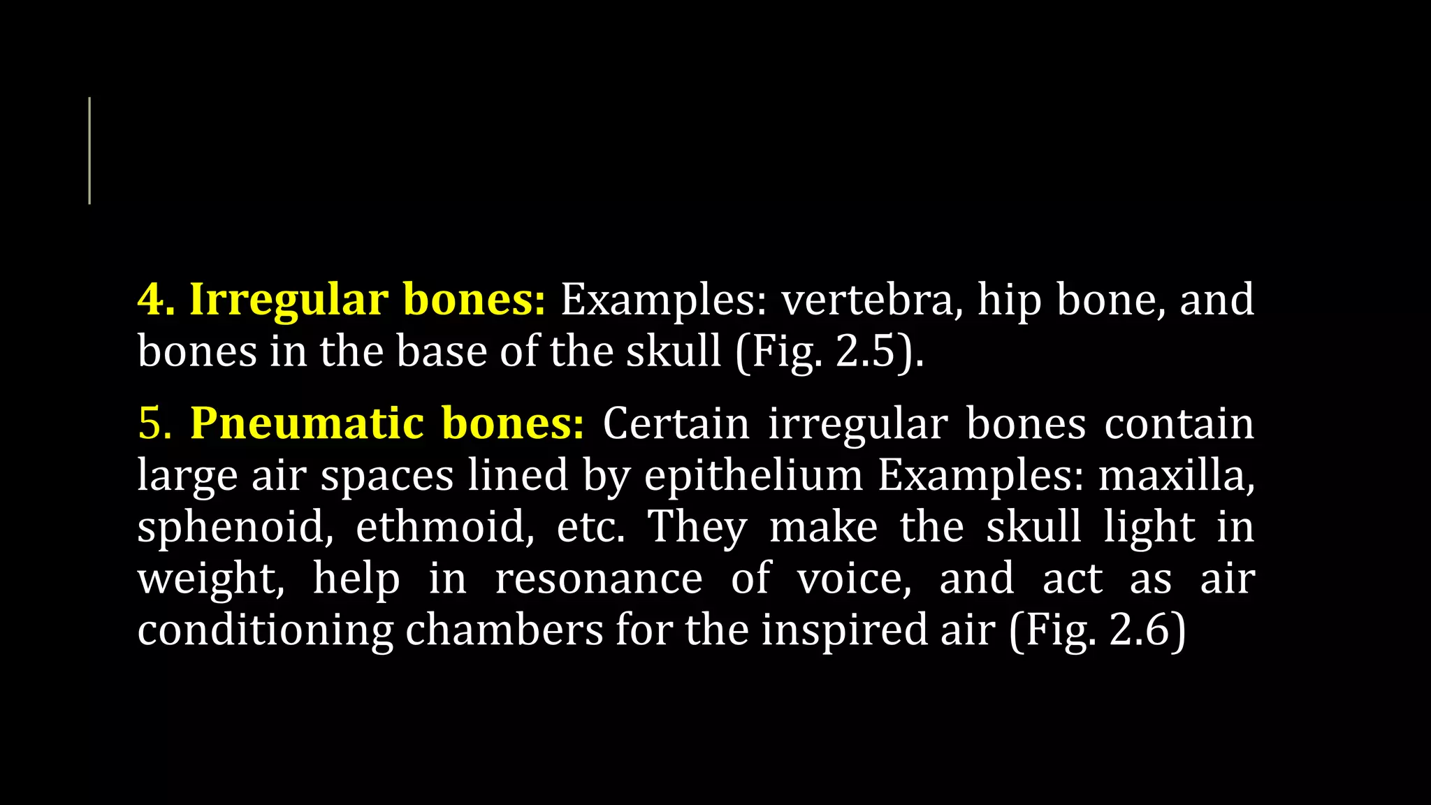 Human Skeleton System | PPTX