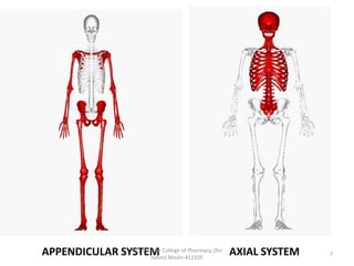 Skeletal System | PPTX