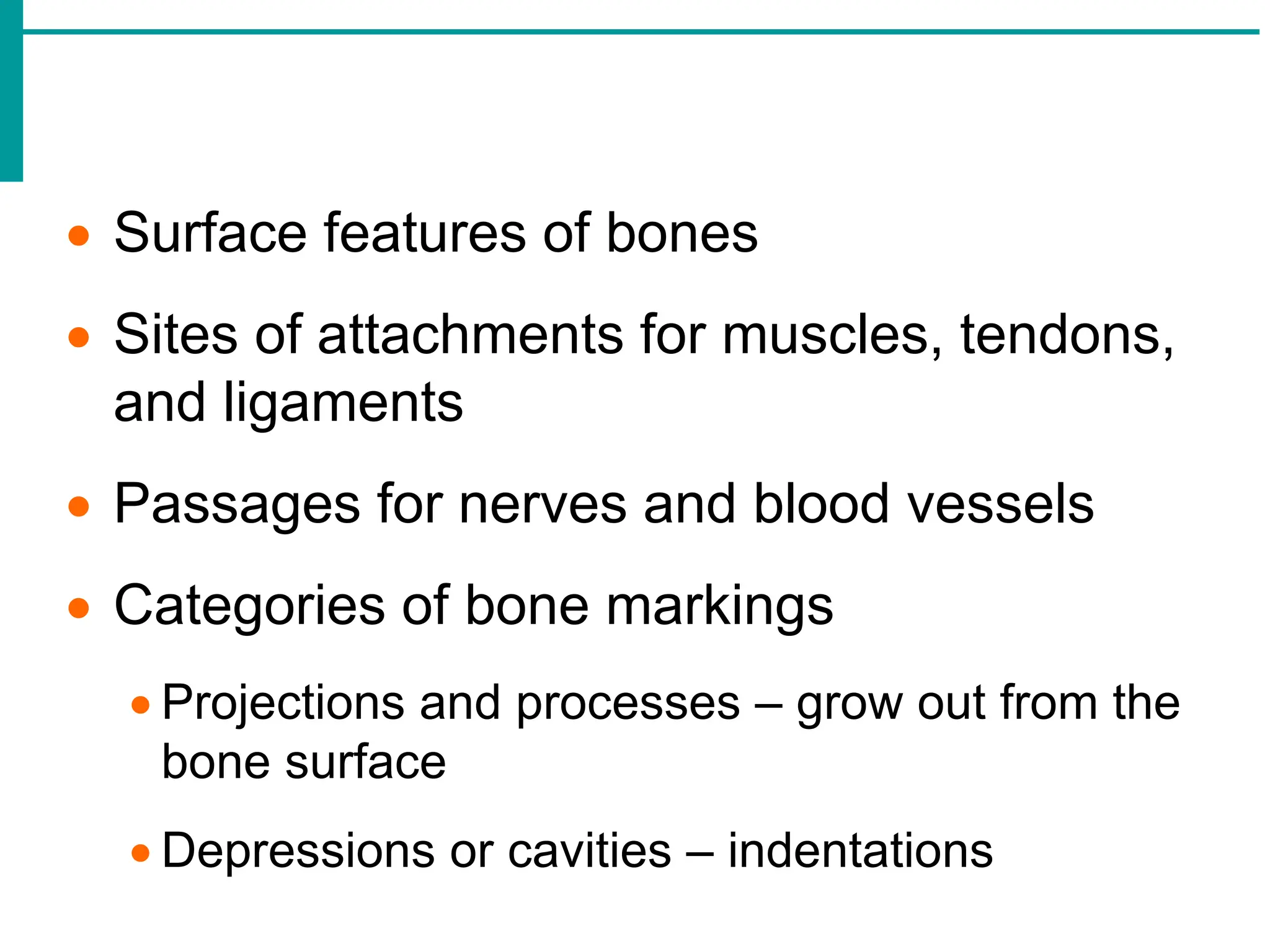 Skeletal System BSN YEAR 1 SEMSESTER 1.. | PPT