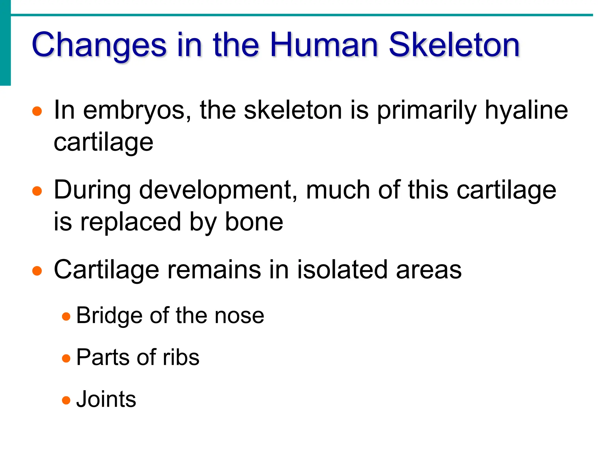 Skeletal System BSN YEAR 1 SEMSESTER 1.. | PPT