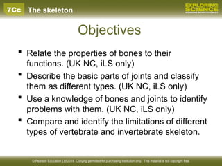skeleton in the human body smp losnito.ppt