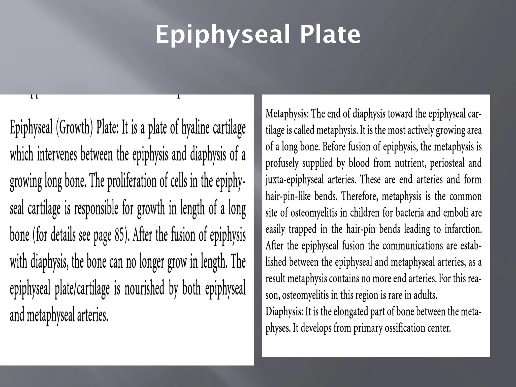 Skeleton.pptxGeneral Anatomy of Skeleton and bones | PPTX