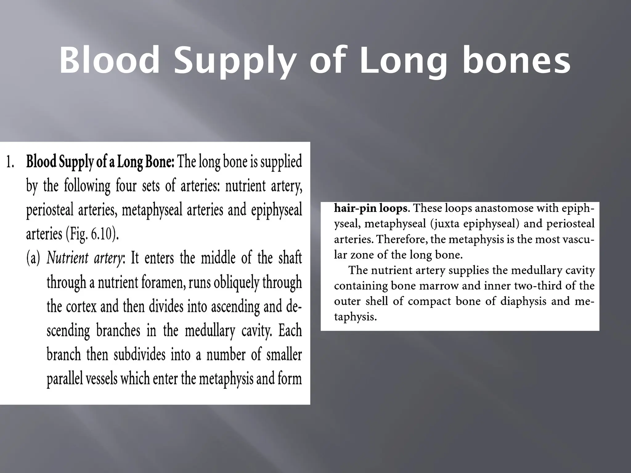 Skeleton.pptxGeneral Anatomy of Skeleton and bones | PPTX