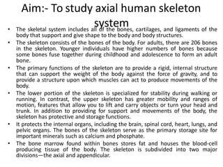 skeleton-converted (1).pptx