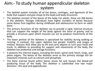 skeleton-converted (1).pptx