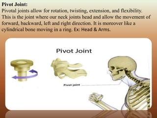 HUMAN SKELETON | PPTX