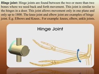 HUMAN SKELETON | PPTX