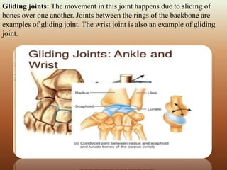HUMAN SKELETON | PPTX