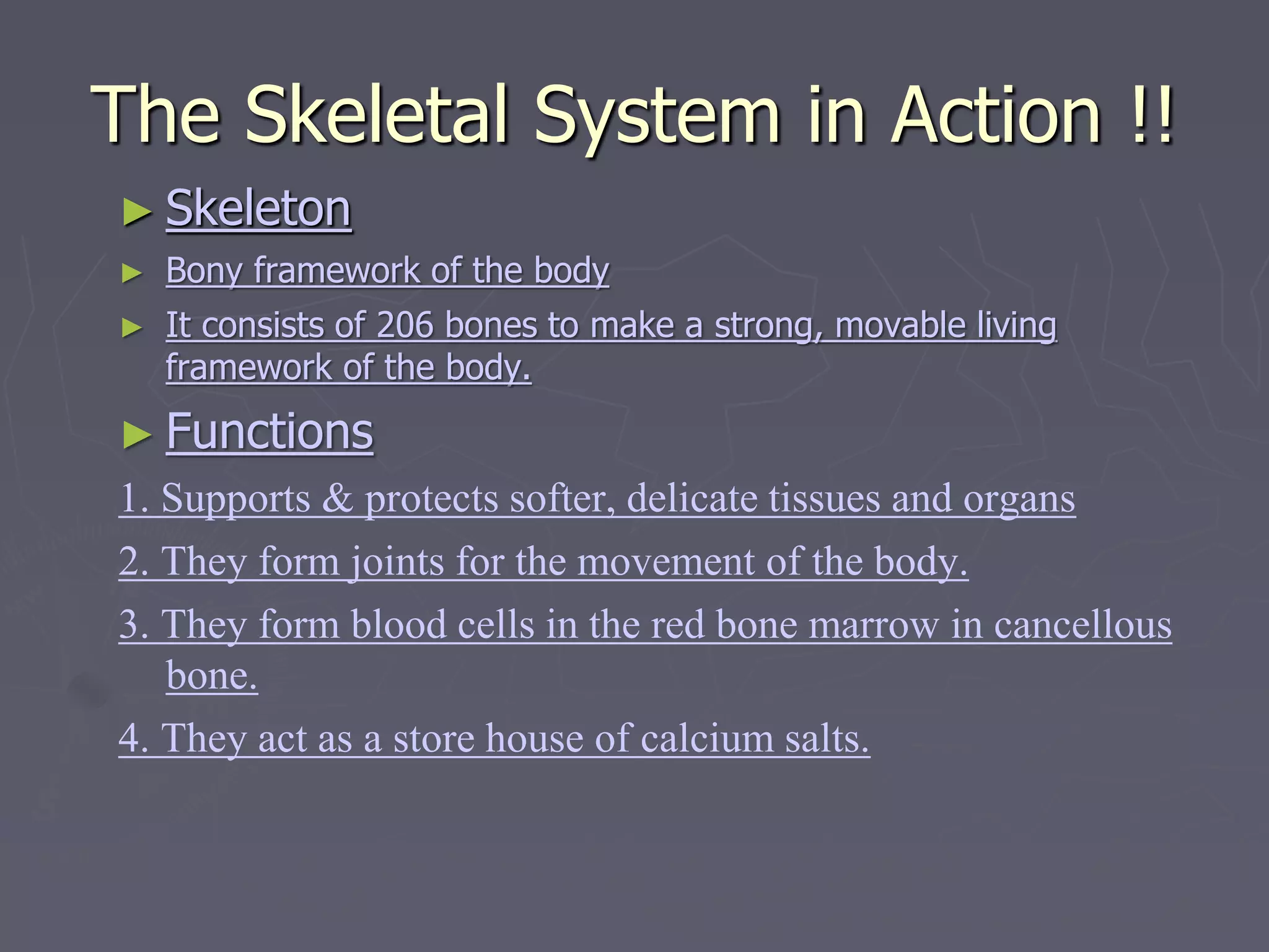 Skeletal System | PPT