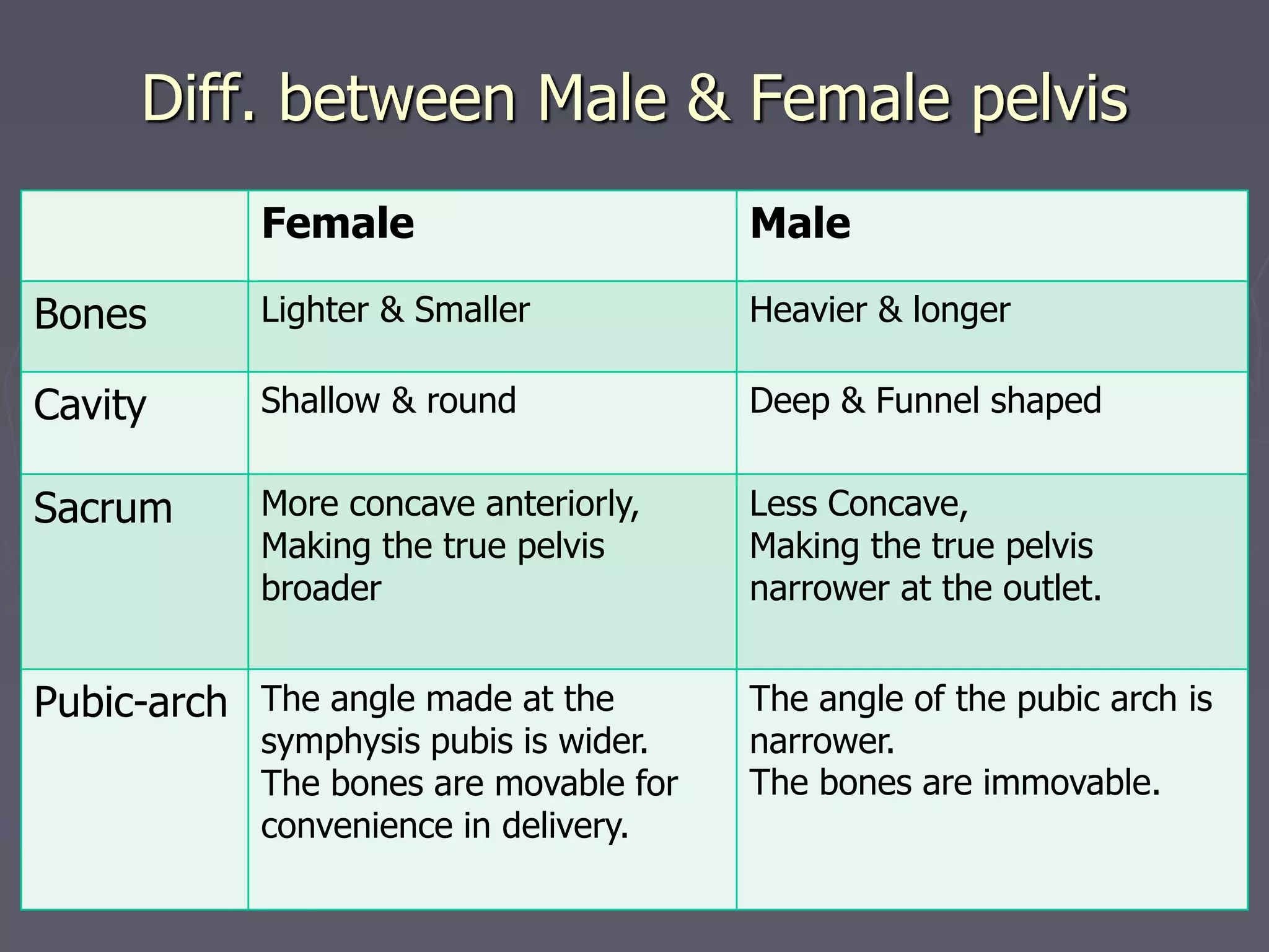 Skeletal System | PPT