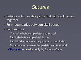 Skeletal System | PPT