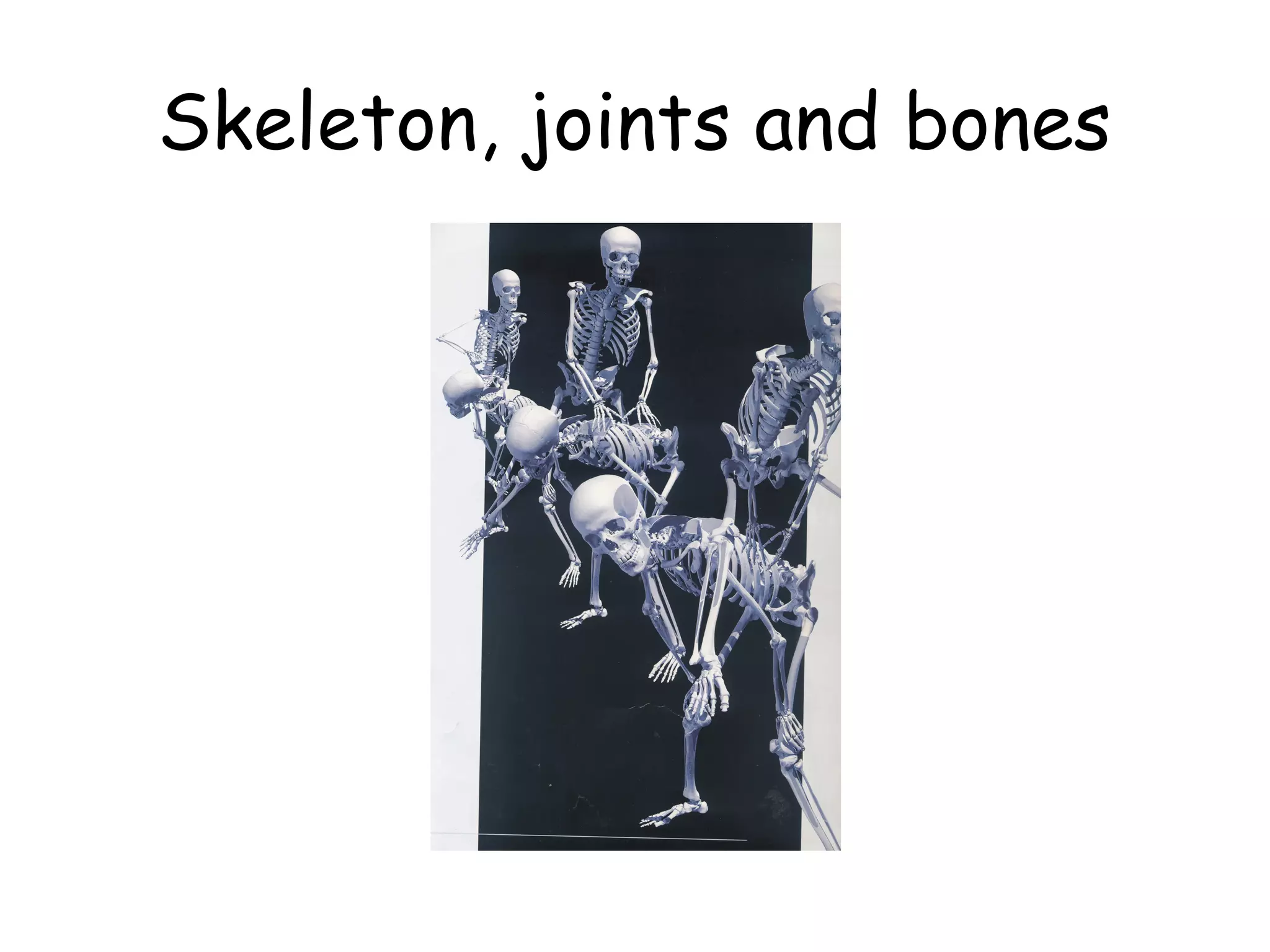 Skeleton, Joints And Bones | PPT | Death, Injury, or Military Conflict ...