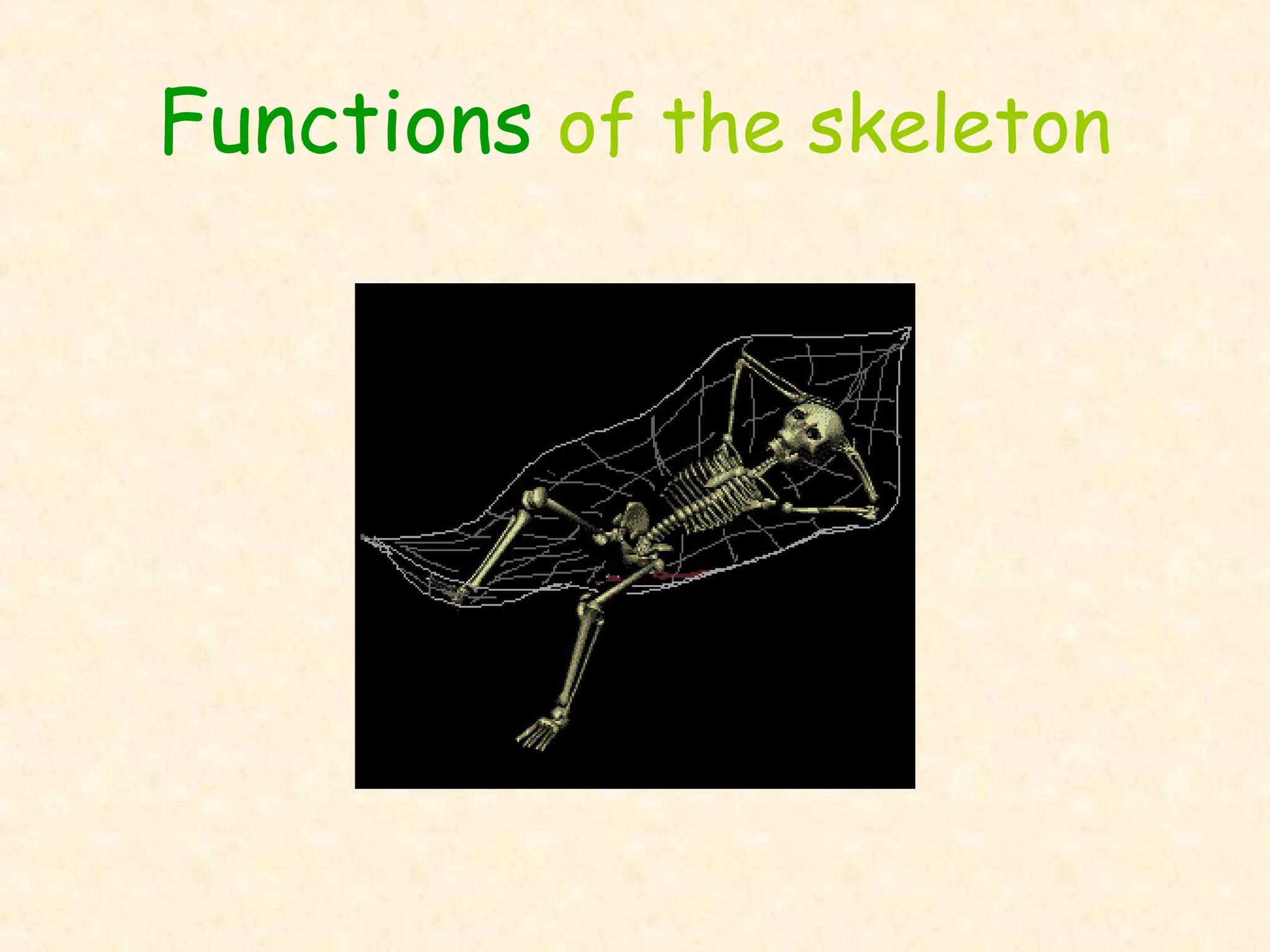 Skeleton, Joints And Bones | PPT | Death, Injury, or Military Conflict ...