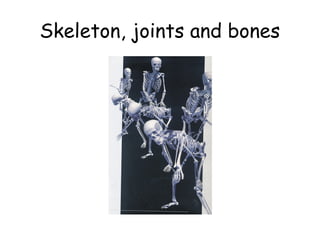 Skeleton, Joints And Bones | PPT