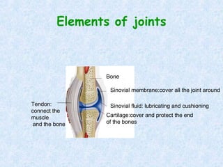 Skeleton, Joints And Bones | PPT | Death, Injury, or Military Conflict ...